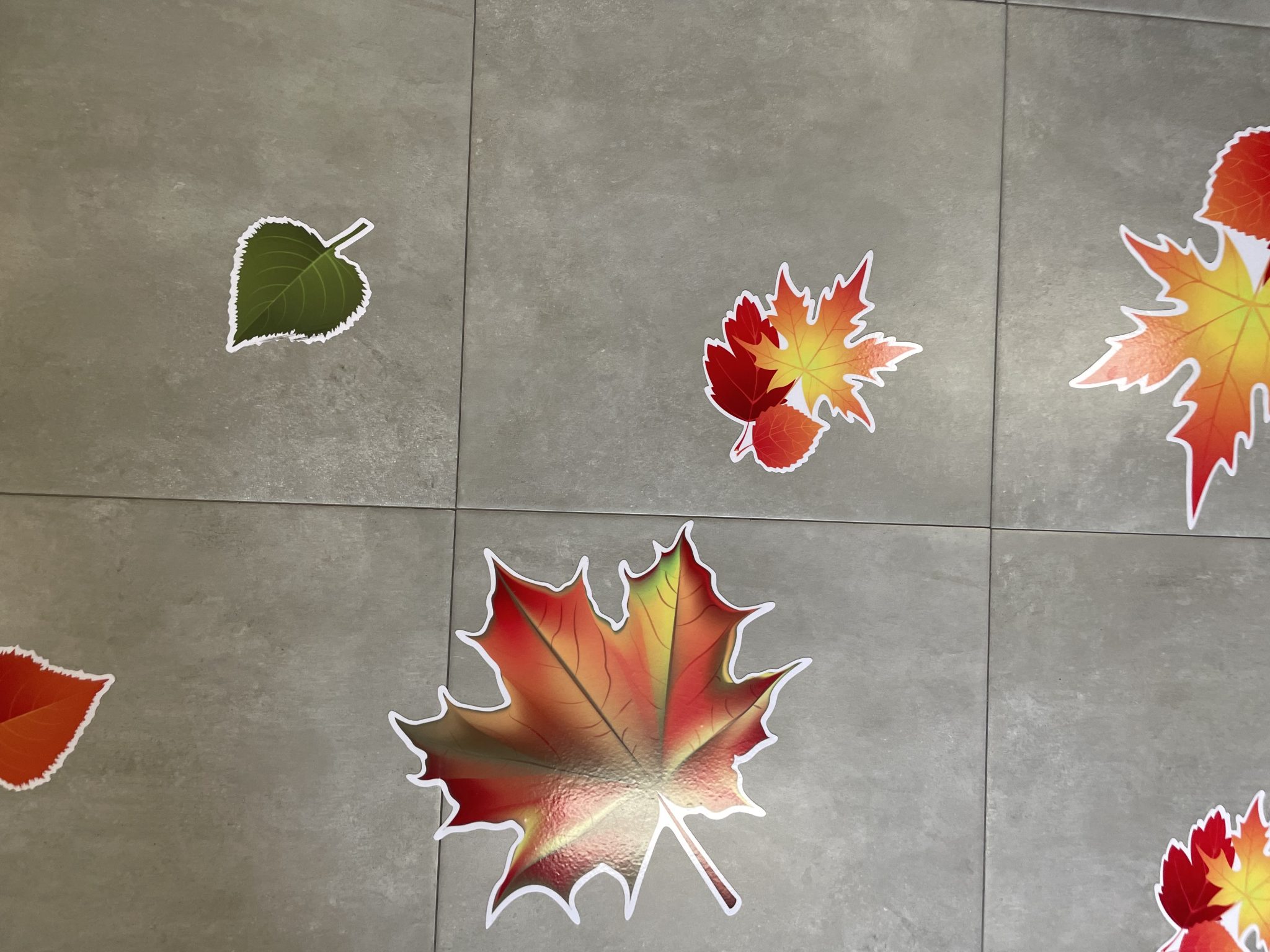 Create custom Decals - Display your creativity and style
